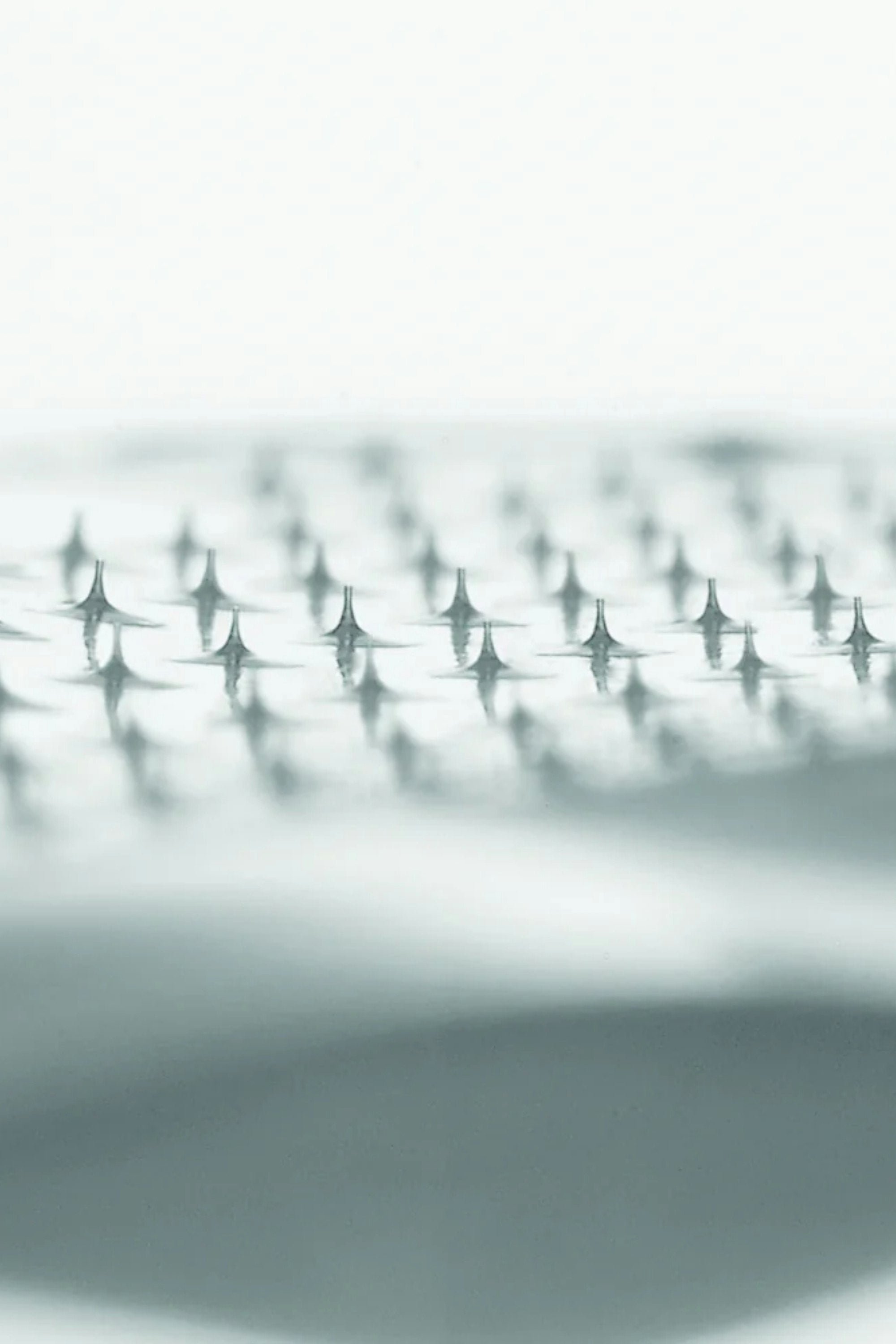 Peptide Micro Needle Patch – Kult